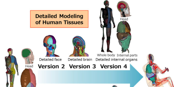 Toyota makes human body model available for all | Automotive Testing ...