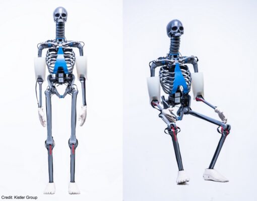 Collaboration yields highly realistic crash test dummy | Automotive ...