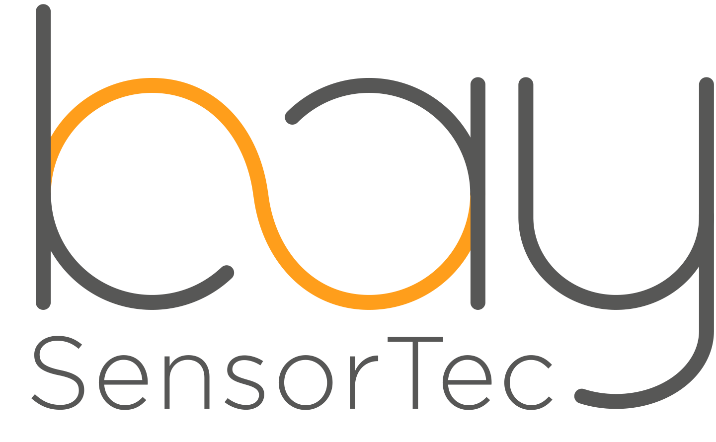 Bay SensorTec GmbH | Automotive Testing Technology International